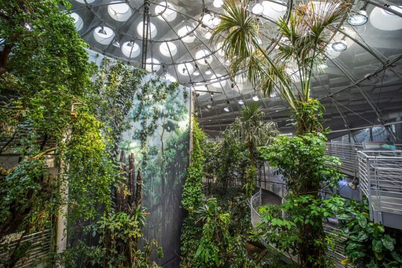 Golden Gate Park Tour With California Academy of Sciences - FAQ