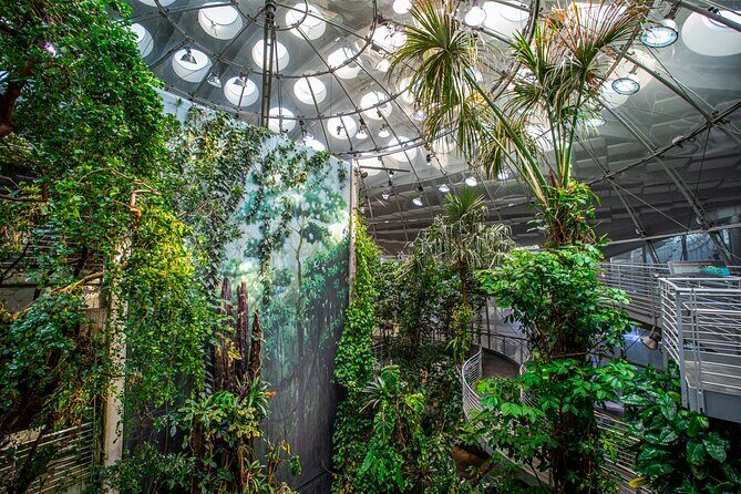 Golden Gate Park Tour With California Academy of Sciences Ticket - Practical Details and What They Mean for You