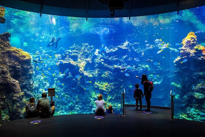 Golden Gate Park Tour With California Academy of Sciences Ticket - Final Thoughts