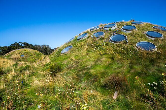 Golden Gate Park Tour With California Academy of Sciences Ticket - FAQ
