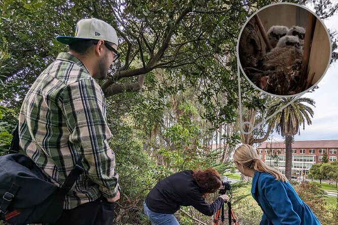 Golden Gate Park Twilight Wildlife Walking Tour - The Bottom Line: Is It Worth It?