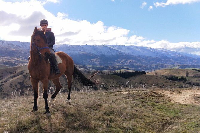 Golden Hills Horse Trek in Central Otago - An In-Depth Look at the Golden Hills Horse Trek