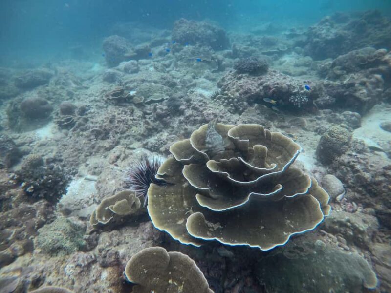 Golden Horizon of Krabi: 4 Islands & Phra Nang Sunset - What Makes This Tour Stand Out?