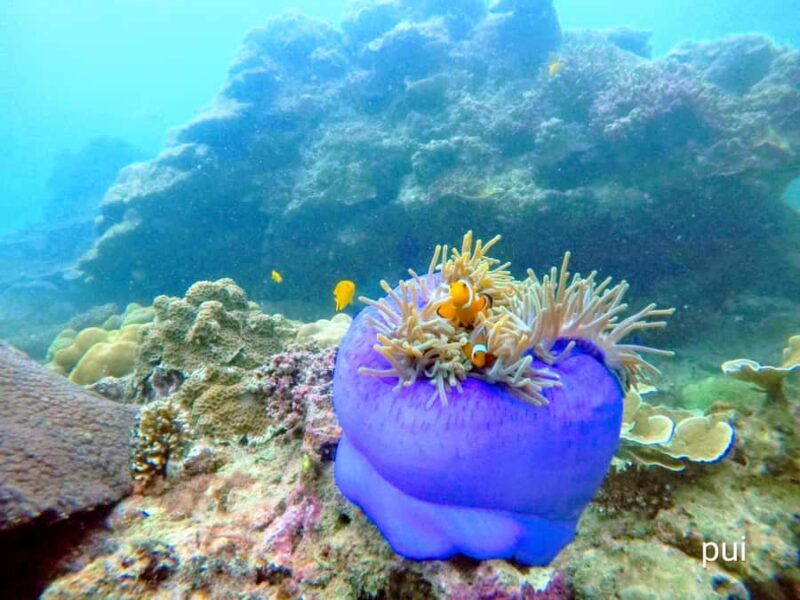 Golden Horizon of Krabi: 4 Islands & Phra Nang Sunset - Who Is This Tour Best For?