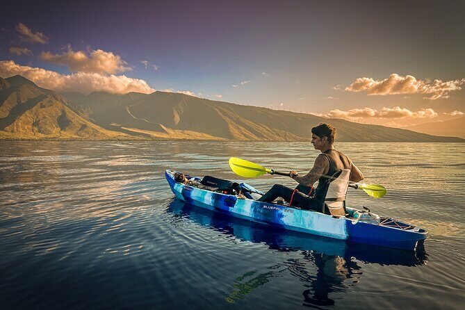 Golden Hour Kayak And Whale Watch - Introduction: A Close-Up Look at the Golden Hour Kayak and Whale Watch