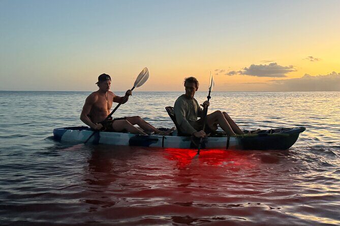 Golden Hour Kayak And Whale Watch - The Sum Up: Is It Worth It?