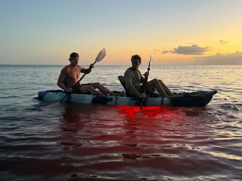 Golden Hour Kayak Cruise Through Turtle Town - FAQs
