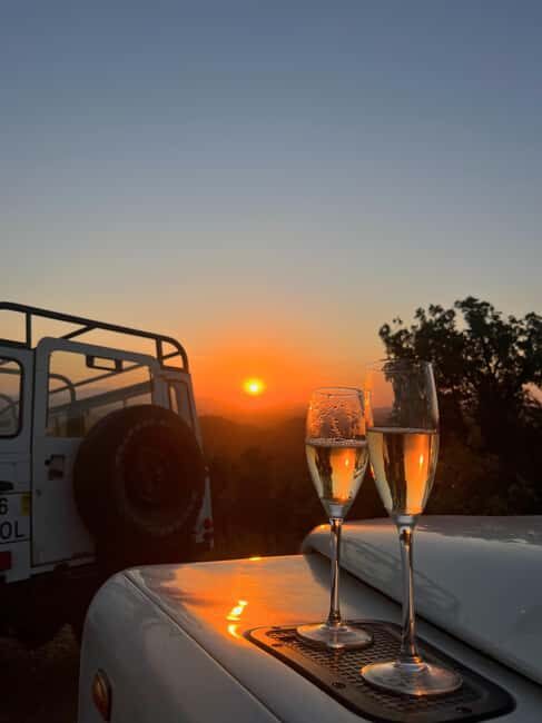 Golden Hour Safari in the Algarve - Key Points