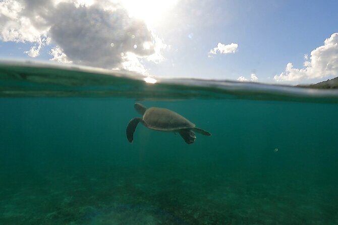 "Golden Hours" Afternoon & Sunset Private Charter - Authentic Feedback From Guests