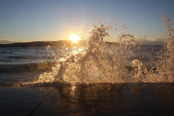 Golden Island of Krk from Rijeka - Analyzing the Value: Price and Experience