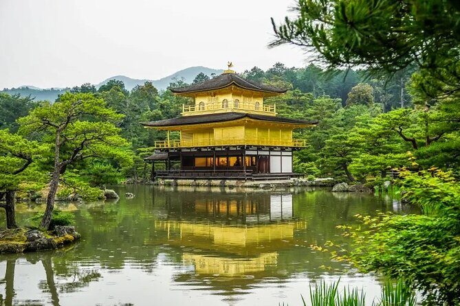 Golden Pavilion Kiyomizu Temple and Fushimi Inari Shrine Tour - Exploring Kyoto’s Highlights in One Day