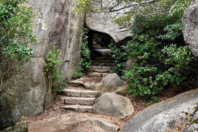 Golden Route to West Japan: 7-Day Cultural & Nature Tour - Discover the Heart of Western Japan