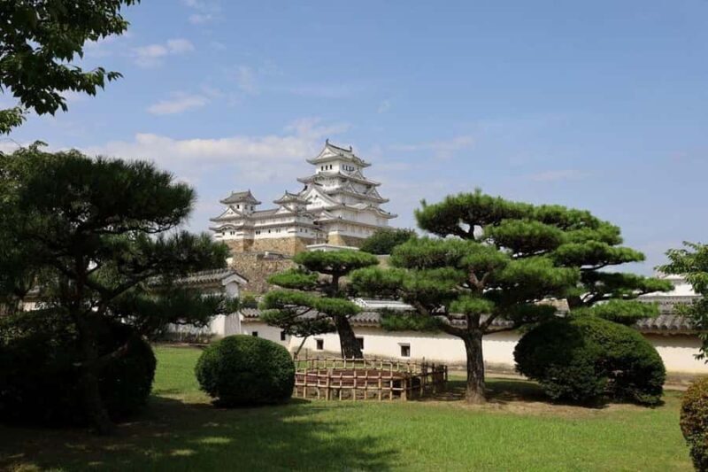 Golden Route to West Japan: 7-Day Cultural & Nature Tour - Practicalities and Comfort