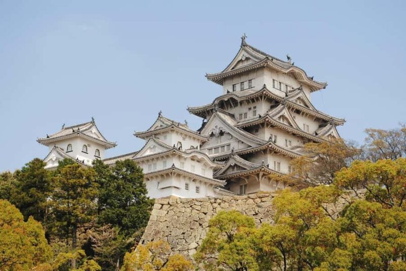 Golden Route to West Japan: 7-Day Cultural & Nature Tour - Is This Tour Good Value?