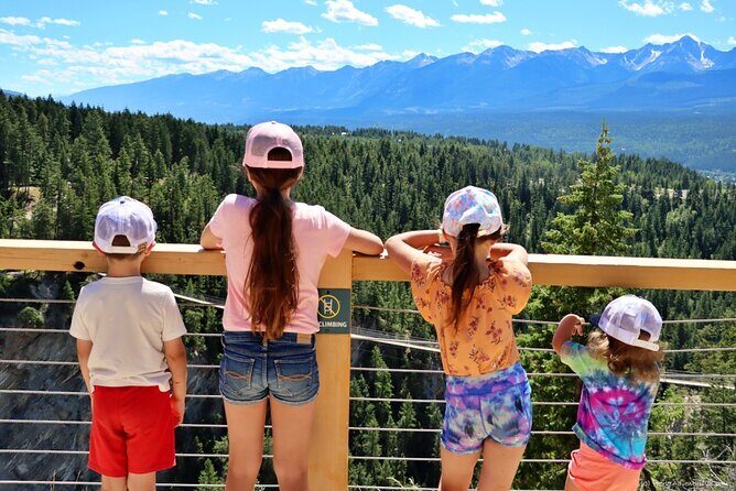 Golden Skybridge Emerald Lake Natural Bridge and Takakkaw Falls - Why Consider This Tour?