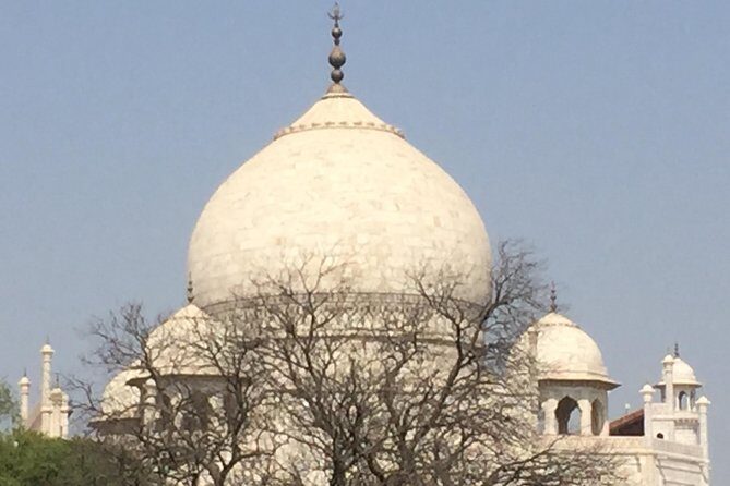 Golden Triangle Tour With Jodhpur and Udaipur - What the Reviews Say: Authentic Praise and Practicalities