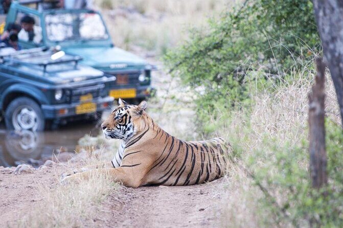 Golden Triangle Tour With Safari ( Ranthambore )8 Days Tour. - Key Points