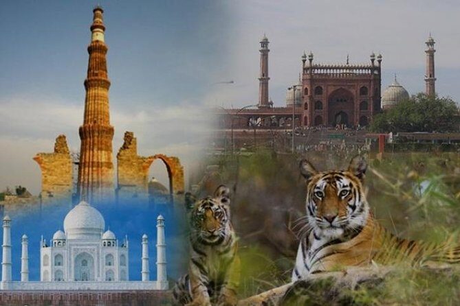 Golden Triangle Tour with Wildlife / Taj & Tiger - Detailed Insights and Authentic Traveler Perspectives