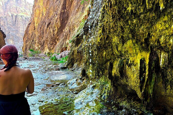 Goldstrike Hot Springs and 124 Degree Magma Heated Waterfall Hike - Key Points