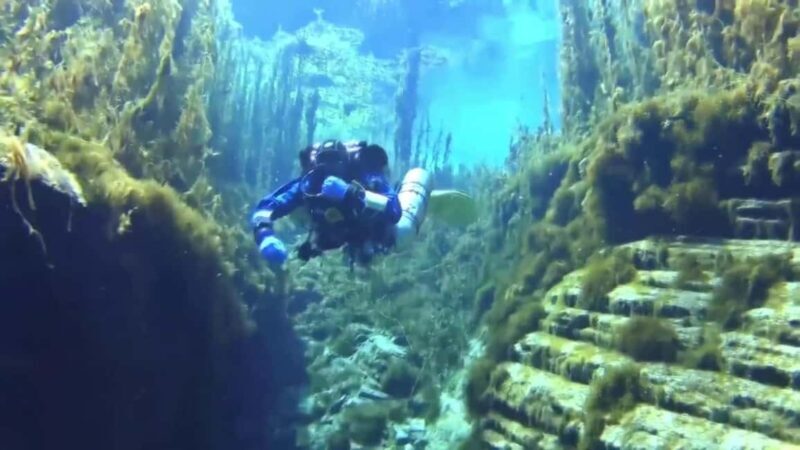 Golem/Durres: Ionian Sea Scuba Diving Experience - The Itinerary in Detail