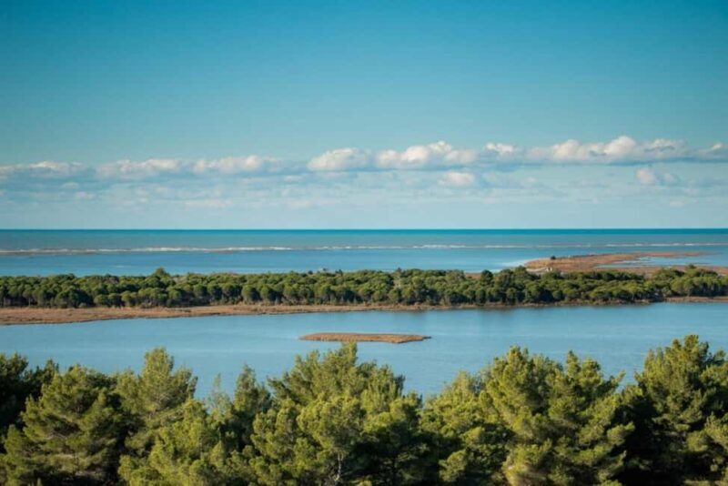 Golem/Durrës: Karavasta Lagoon Tour - Key Points