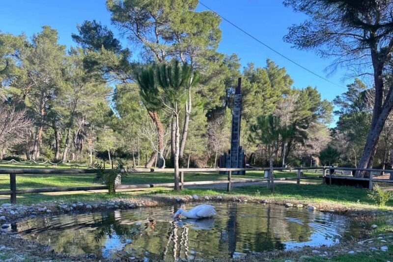 Golem/Durrës: Karavasta Lagoon Tour - Practical Details and Tips