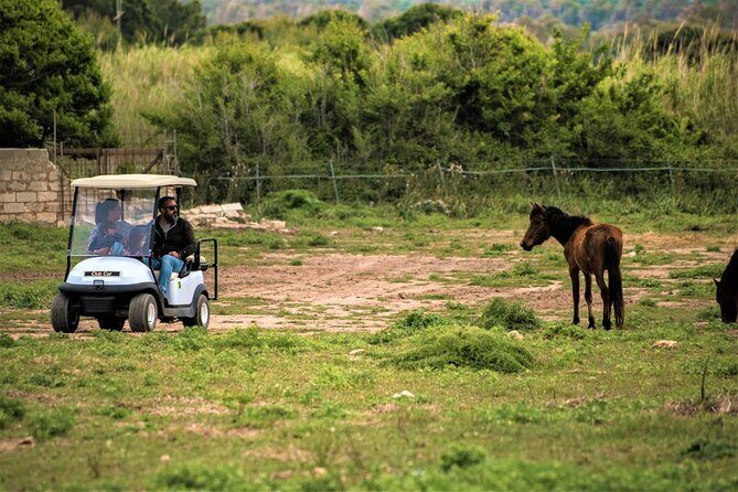 Golf Car Hire in Porto Conte Natural Park - Key Points