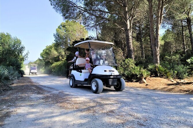 Golf Car Hire in Porto Conte Natural Park - Final Thoughts: Is It Worth It?