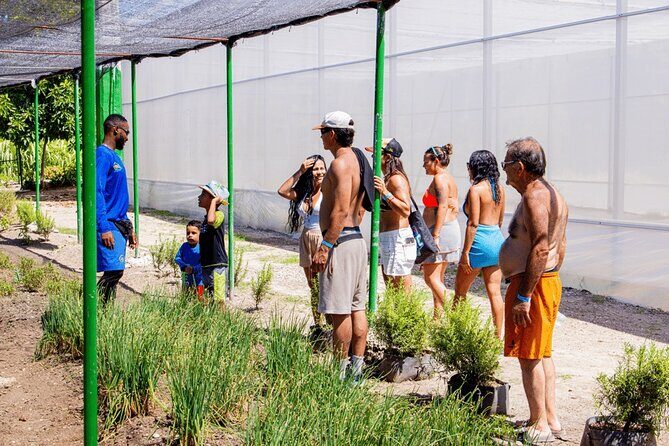 Golf Cart Eco Tour Half Day Tour - Final Thoughts: Who Is This Tour Best For?