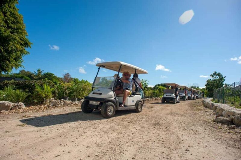 Golf Cart Eco Tour Half Day Tour - An In-Depth Look at the Eco Adventure