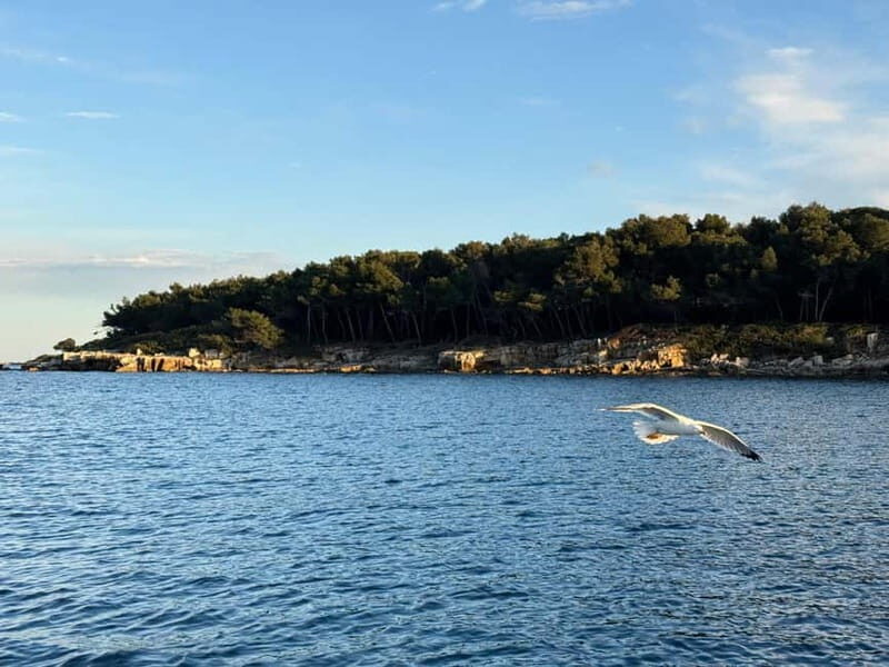 Golfe-Juan: Discover the Art of Sailing on a Scenic Cruise - Final Thought