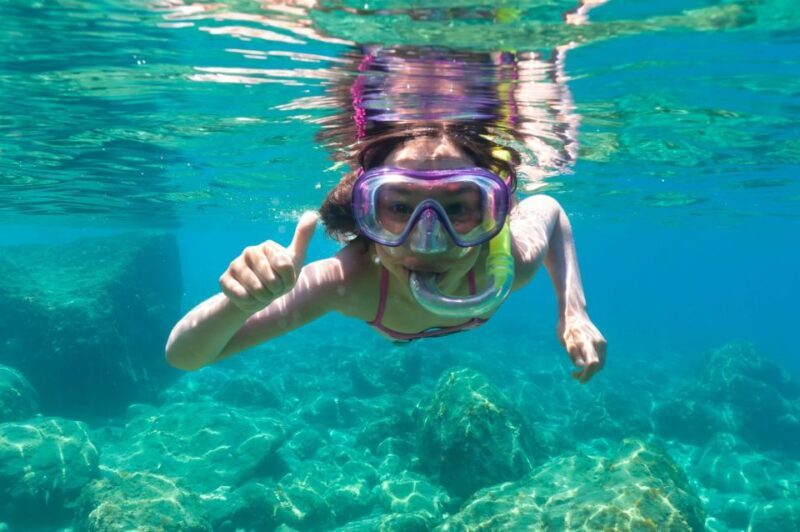 Golfo Aranci: Dolphin Watching and Snorkeling Boat Tour - Key Points