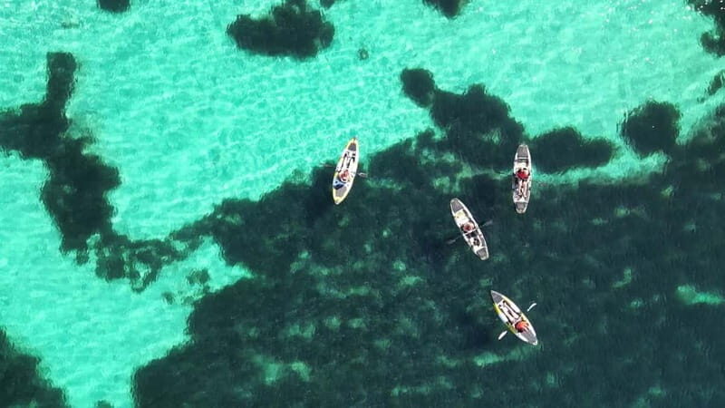 Golfo Aranci: Dolphin Watching Kayaking Tour with Aperitif - What to Expect from Your Kayaking Adventure