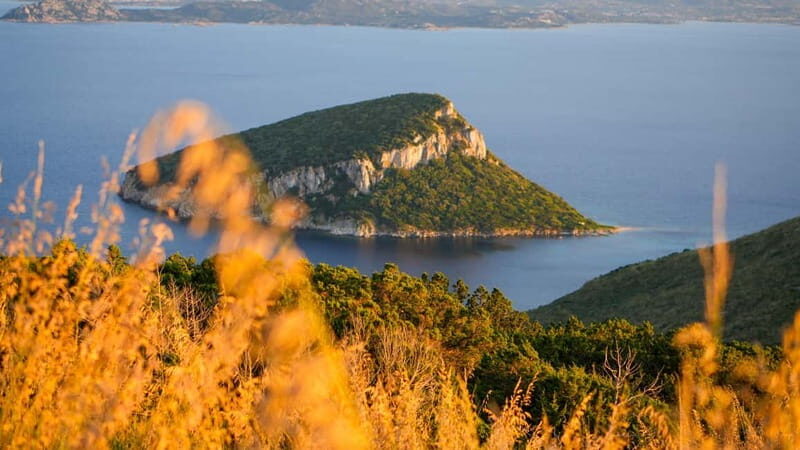 Golfo Aranci: Guided panoramic hike with aperitif and photos - Practical Details: What You Need to Know