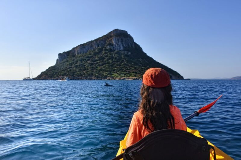 Golfo Aranci: Kayak Tour with Dolphins and Aperitif - Key Points