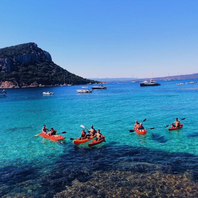 Golfo Aranci: Kayak Tour with Dolphins and Aperitif - Introduction: A Fun and Genuine Sardinian Adventure