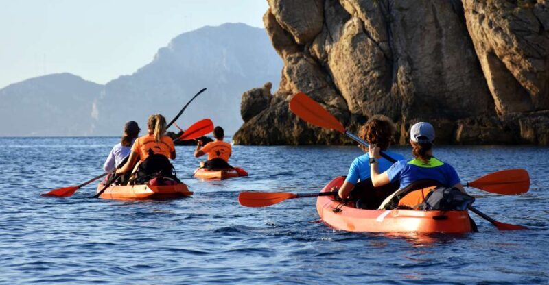 Golfo Aranci: Kayak Tour with Dolphins and Aperitif - What the Reviews Say