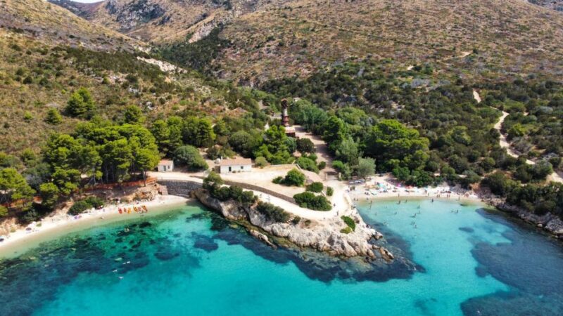 Golfo Aranci: Kayak Tour with Dolphins and Aperitif - The Experience in Detail