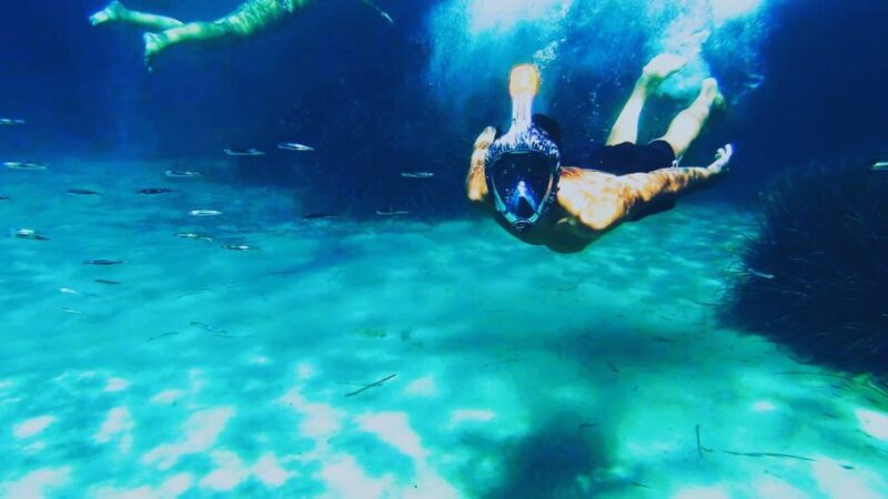 Golfo Aranci: Kayak Tour with Dolphins and Aperitif - The Sum Up: Why Choose This Experience?