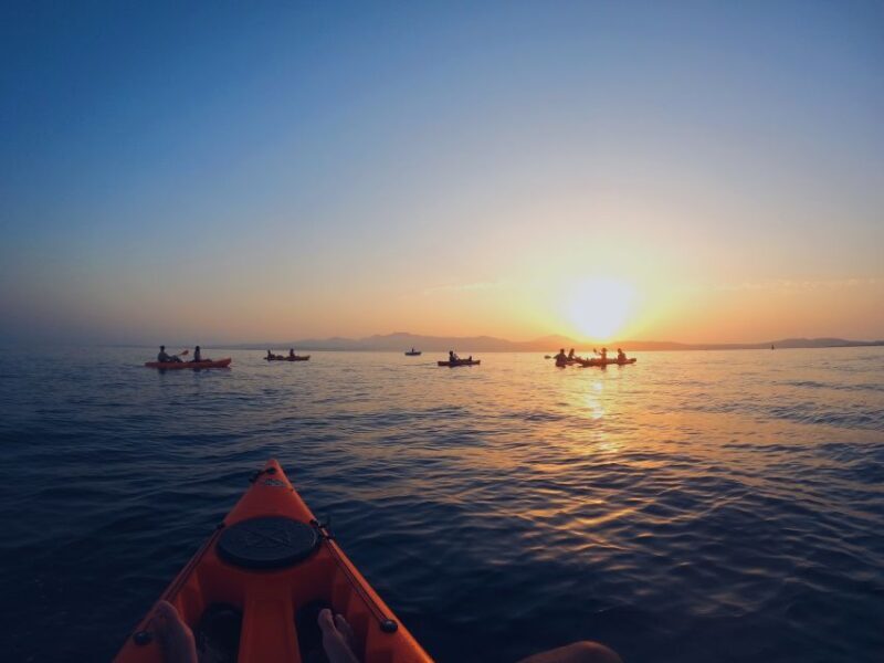 Golfo Aranci: Kayak Tour with Dolphins and Aperitif - FAQ: Your Practical Questions Answered