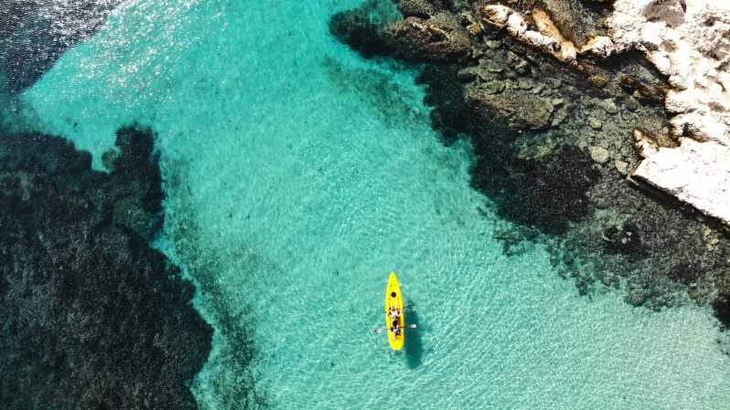 Golfo Aranci: Small group Kayak tour with Aperitif &dolphins - Key Points