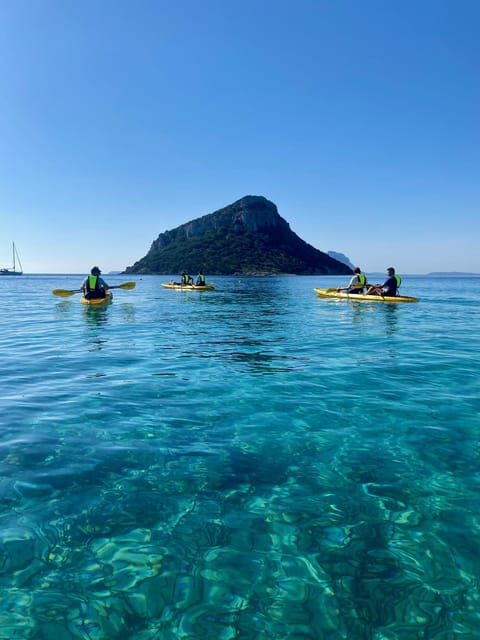 Golfo Aranci: Small group Kayak tour with Aperitif &dolphins - In-Depth Look at the Itinerary
