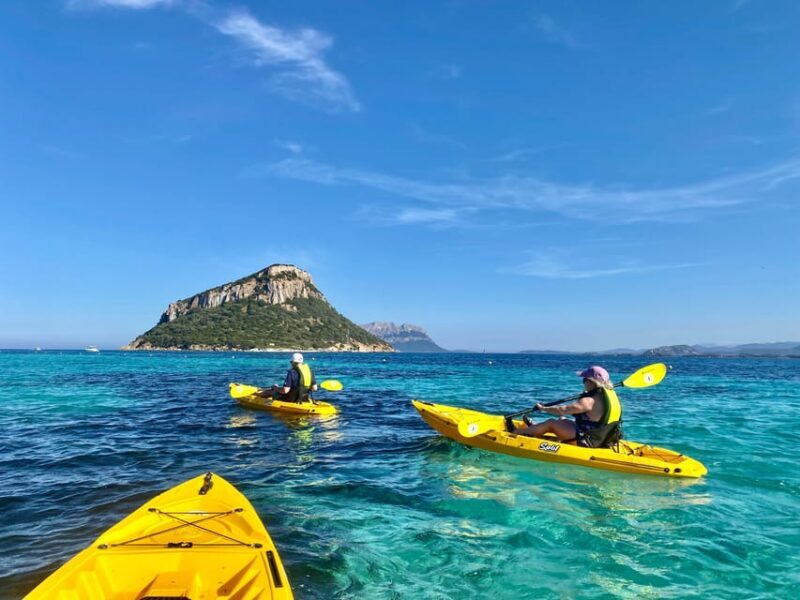Golfo Aranci: Small group Kayak tour with Aperitif &dolphins - What Travelers Say