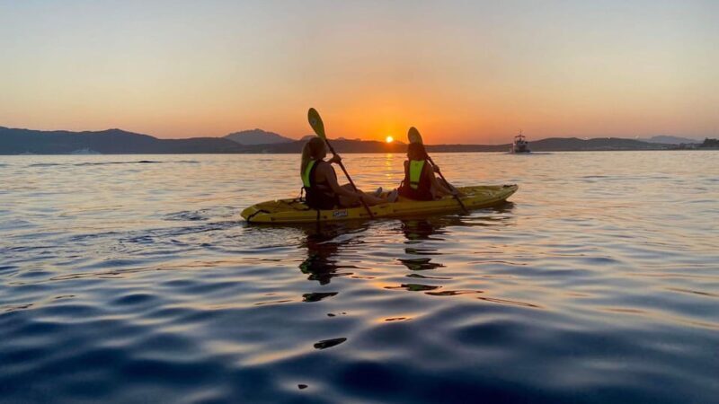 Golfo Aranci: Small group Kayak tour with Aperitif &dolphins - The Sum Up