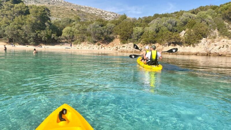 Golfo Aranci: Small group Kayak tour with Aperitif &dolphins - FAQ