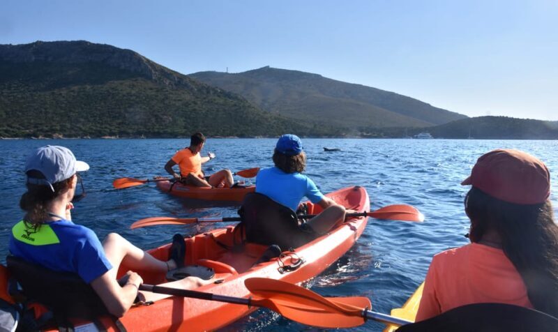 Golfo Aranci: Sunrise Dolphin Kayak Tour with Breakfast - The Sum Up