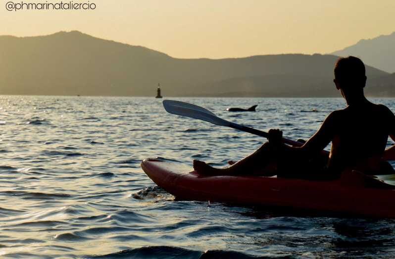 Golfo Aranci: Sunset Dolphin Kayak Tour with Aperitif - Key Points