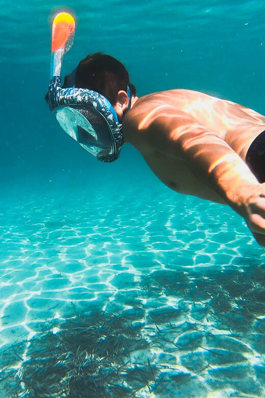 Golfo Aranci: Sunset Dolphin Kayak Tour with Aperitif - What the Tour Entails