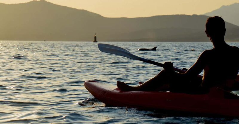 Golfo Aranci: Sunset Dolphin Kayak Tour with Aperitif - Sunset and Dolphin Watching