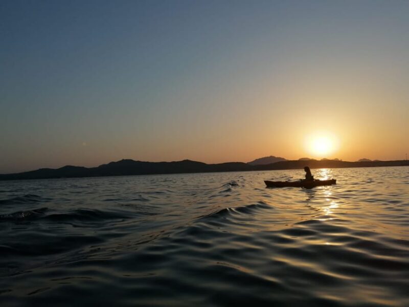 Golfo Aranci: Sunset Dolphin Kayak Tour with Aperitif - Sardinian Treats and Aperitif